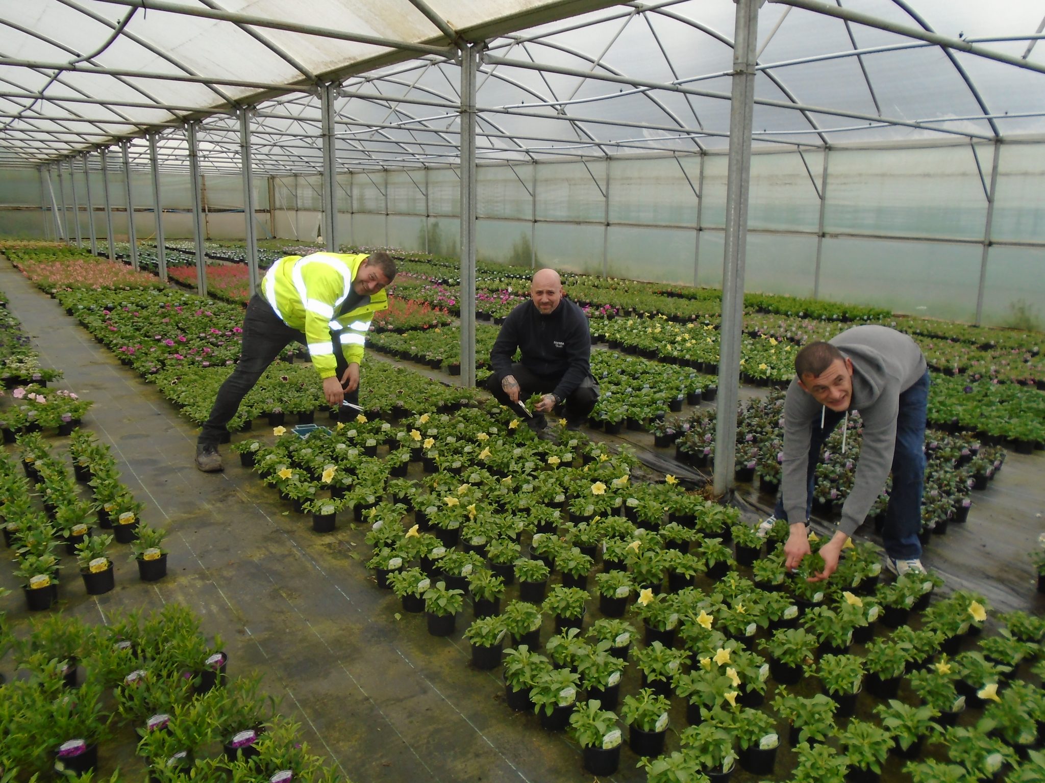 Participants gain level 2 award in vocational skills in horticulture ...